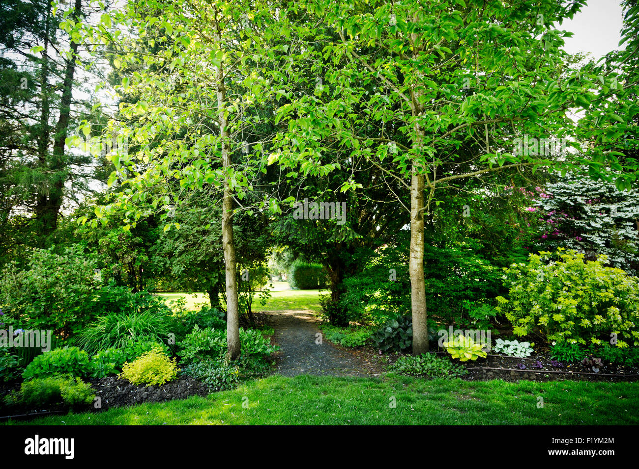 Gwynne vaughan public park hi-res stock photography and images - Alamy