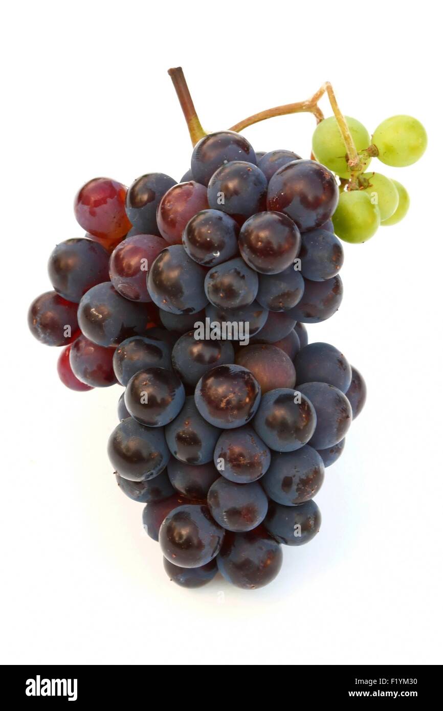 Red fruit from tree Cut Out Stock Images & Pictures - Alamy