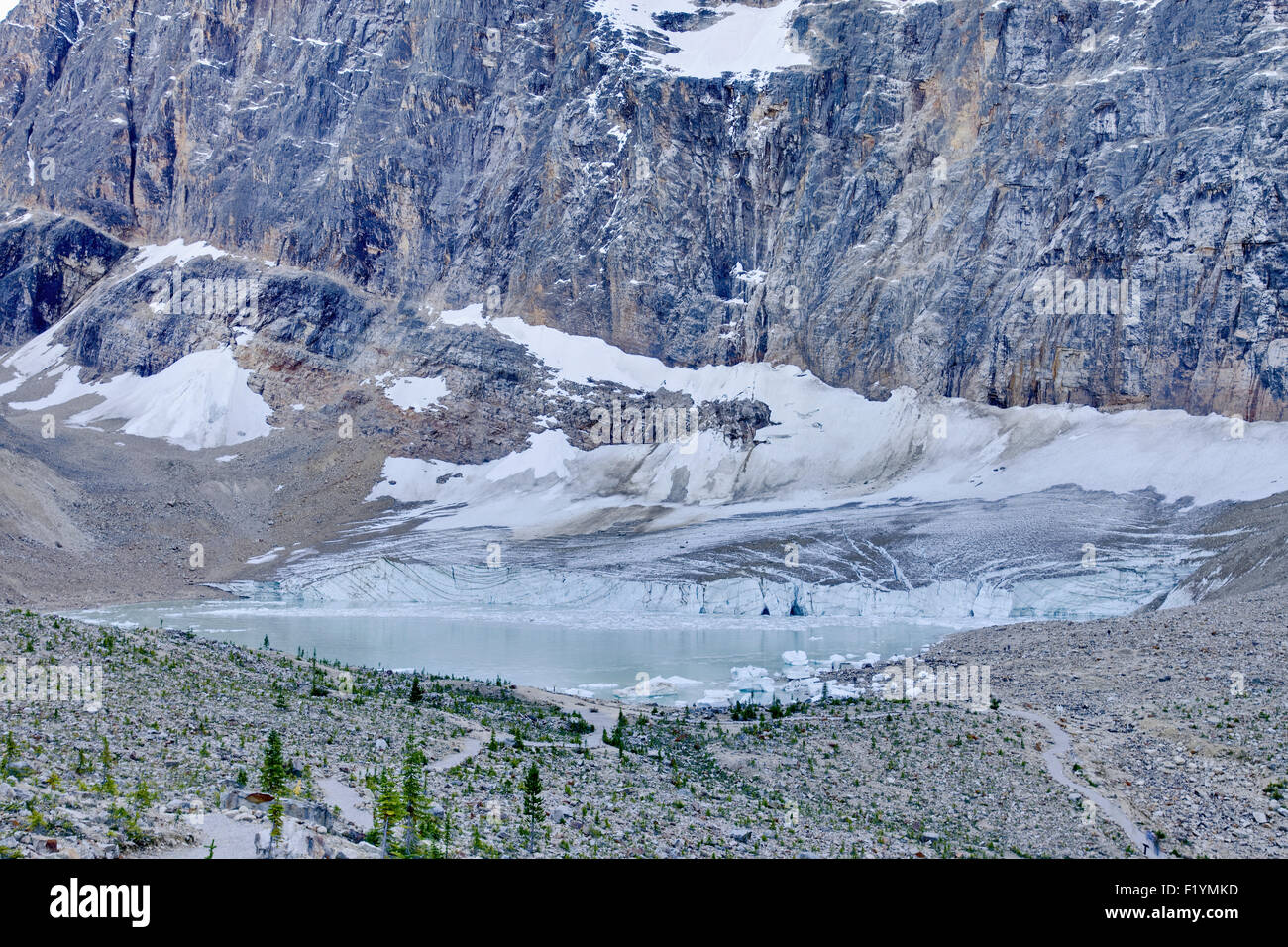 Canada,Angel Glacier,Mount Edith Cavell,Unesco Stock Photo - Alamy