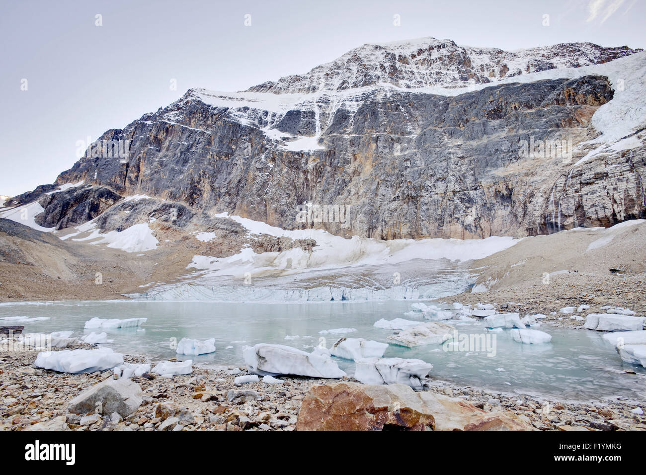 Canada,Angel Glacier,Mount Edith Cavell,Unesco Stock Photo - Alamy