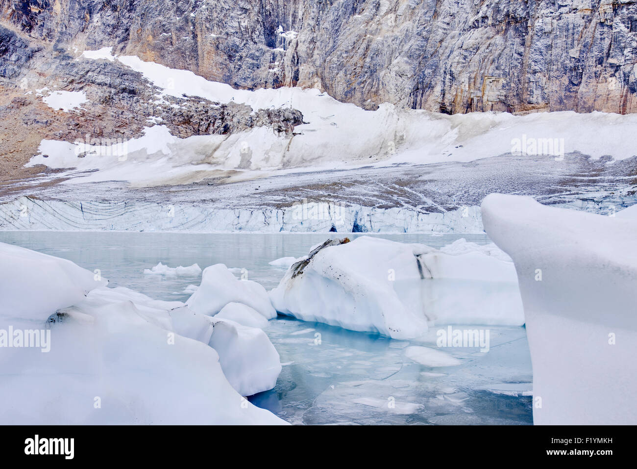 Canada,Angel Glacier,Mount Edith Cavell,Unesco Stock Photo - Alamy