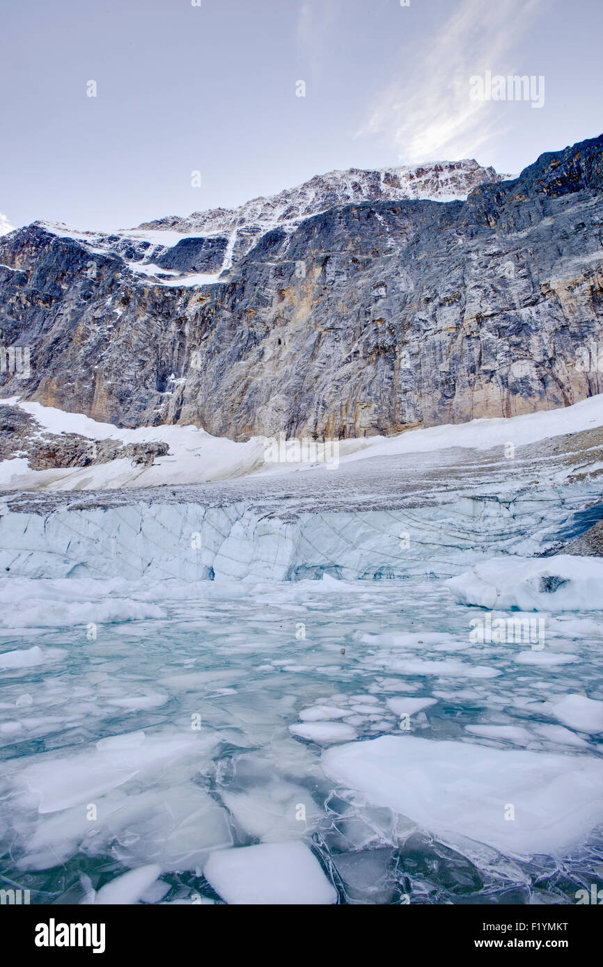 Canada,Angel Glacier,Mount Edith Cavell,Unesco Stock Photo - Alamy