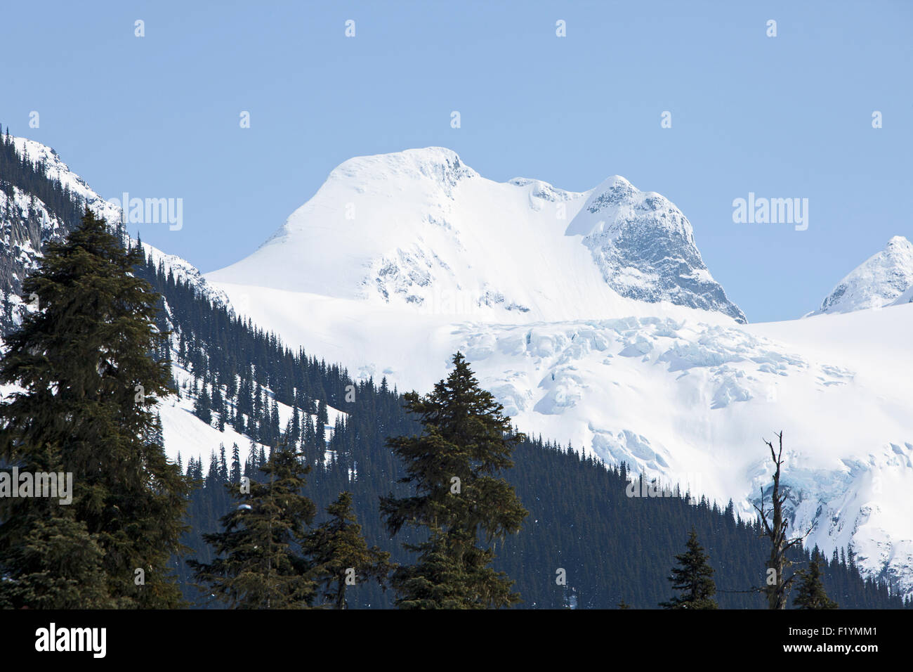 Matier hi-res stock photography and images - Alamy