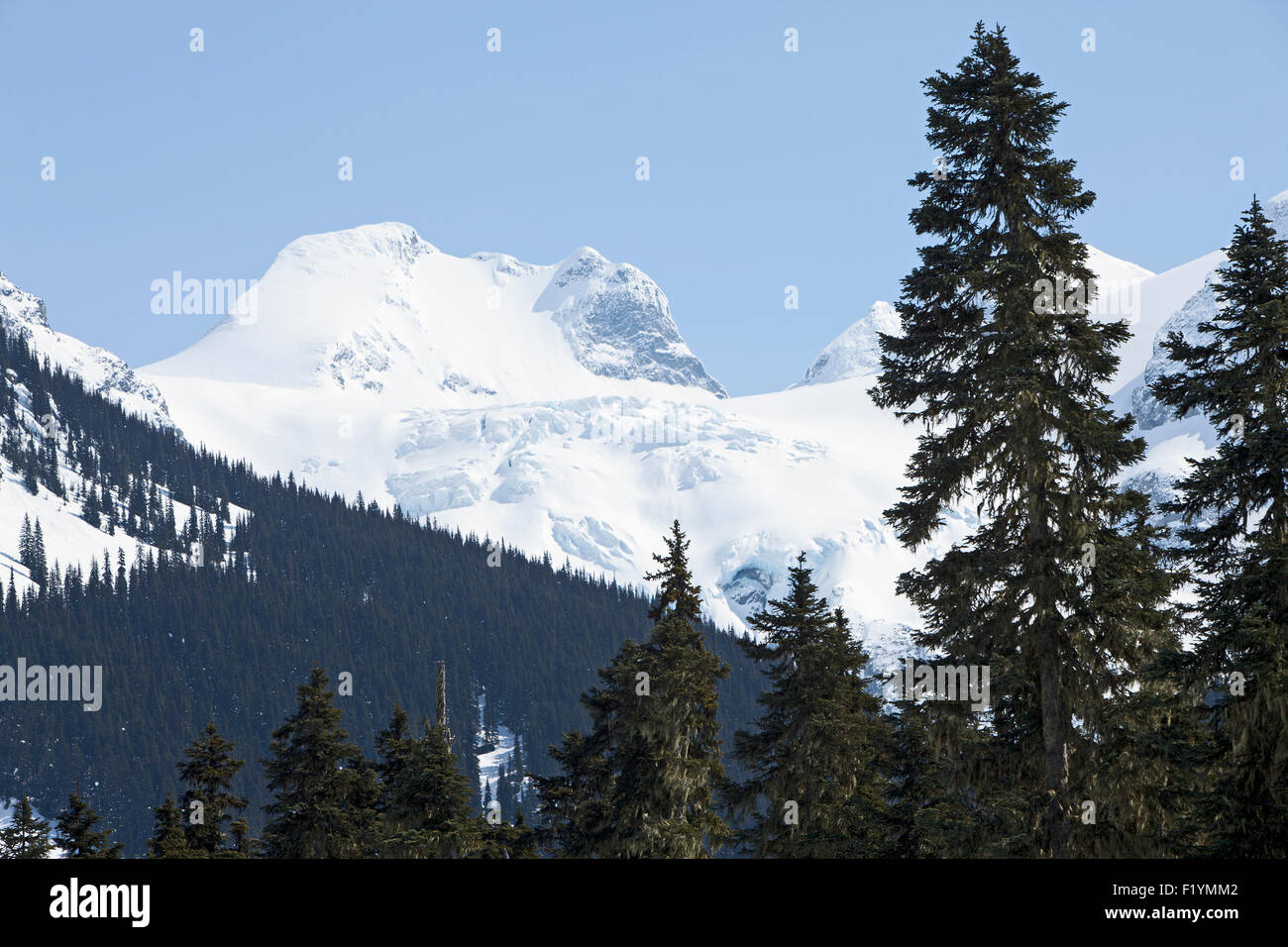 Matier hi-res stock photography and images - Alamy