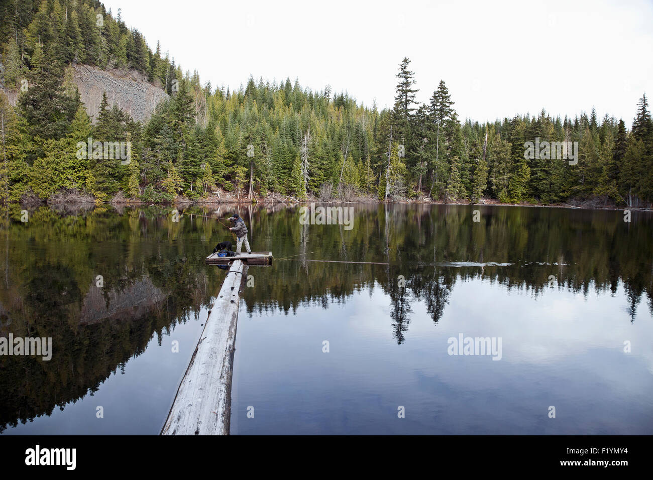 Man,Canada,Dog,Fly Fishing,Loggers Lake Stock Photo - Alamy