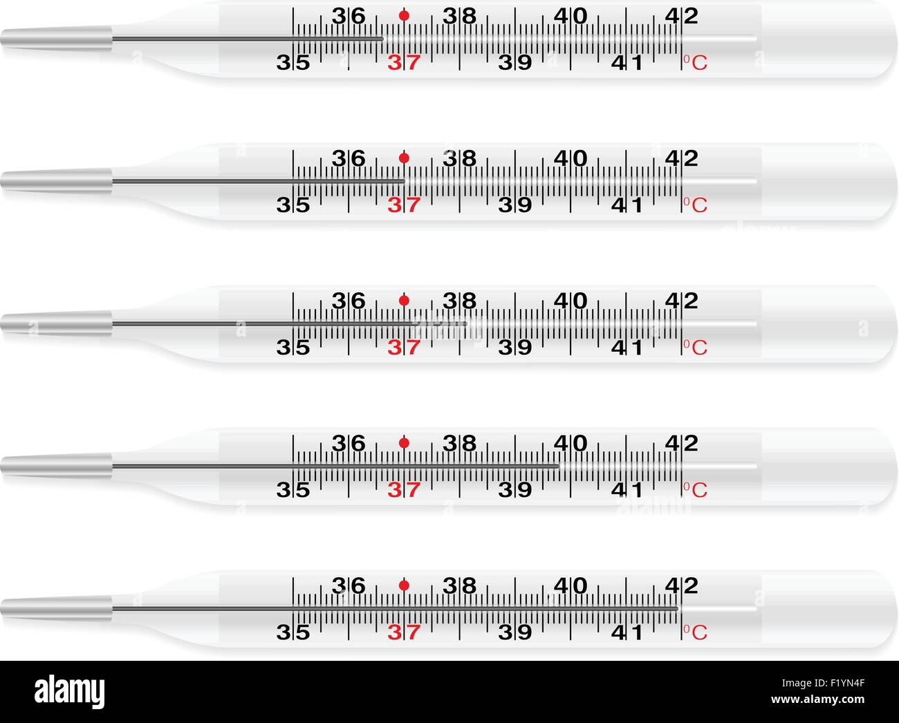 Medical thermometer set isolated on a white background. Vector ...