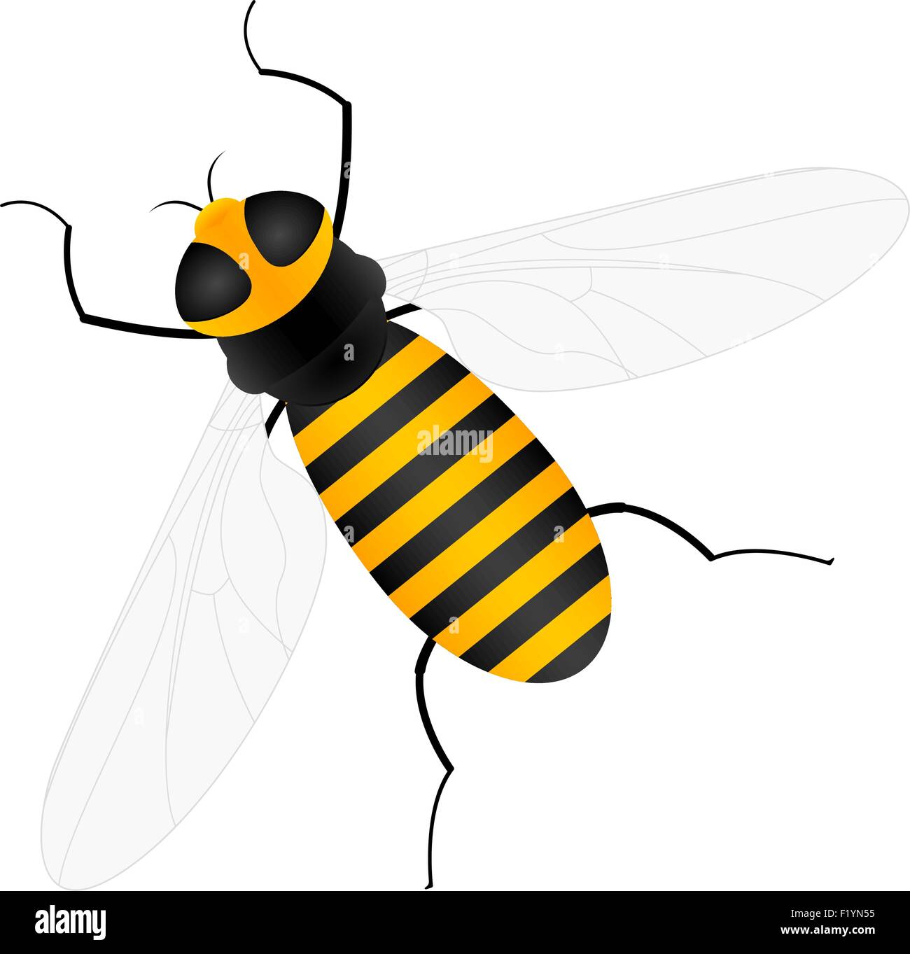Yellow worker bee on a white background. Vector illustration Stock ...