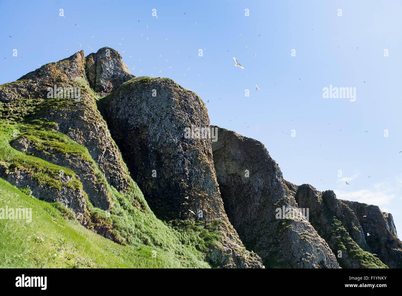 Sankin island hi-res stock photography and images - Alamy