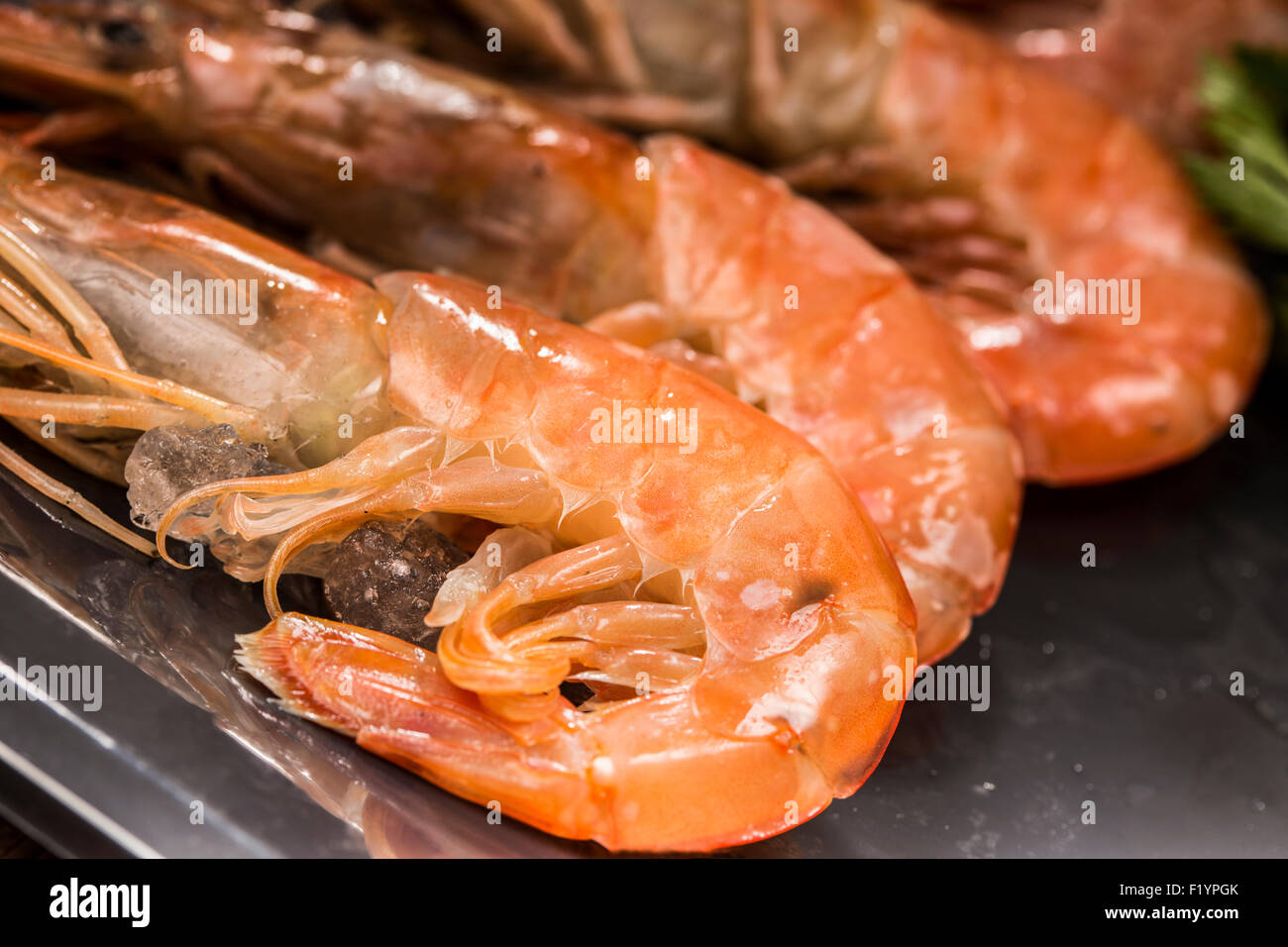 Prawns fish hi-res stock photography and images - Alamy