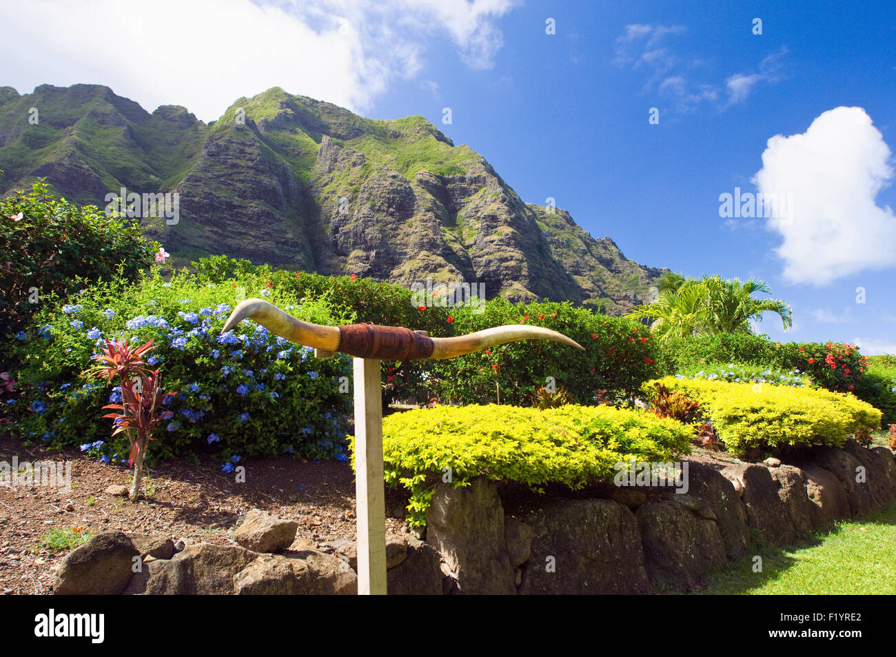 Kualoa ranch oahu hawaii hi-res stock photography and images - Alamy