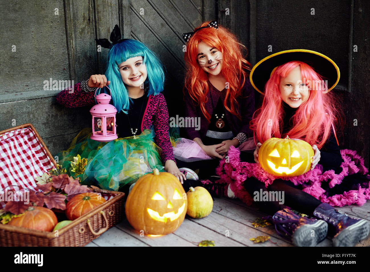 Smiling gourds hi-res stock photography and images - Alamy