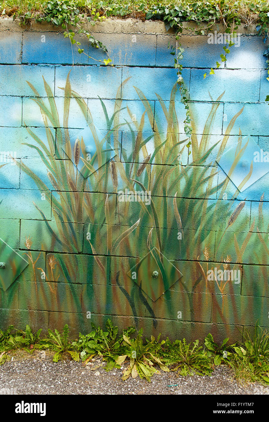 bunch of wild cane reed painted on a wall Stock Photo - Alamy