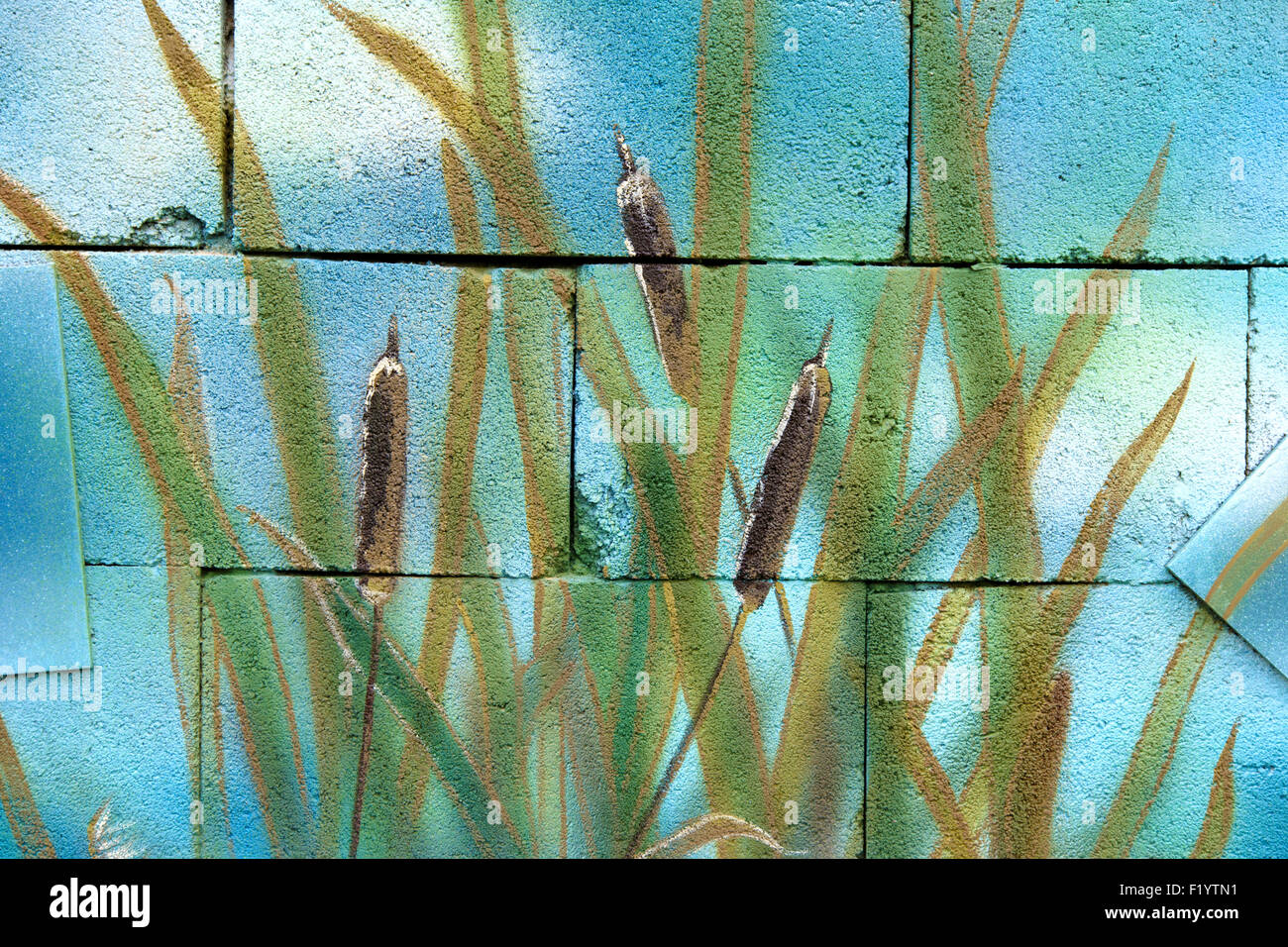 bunch of wild cane reed painted on a wall Stock Photo - Alamy