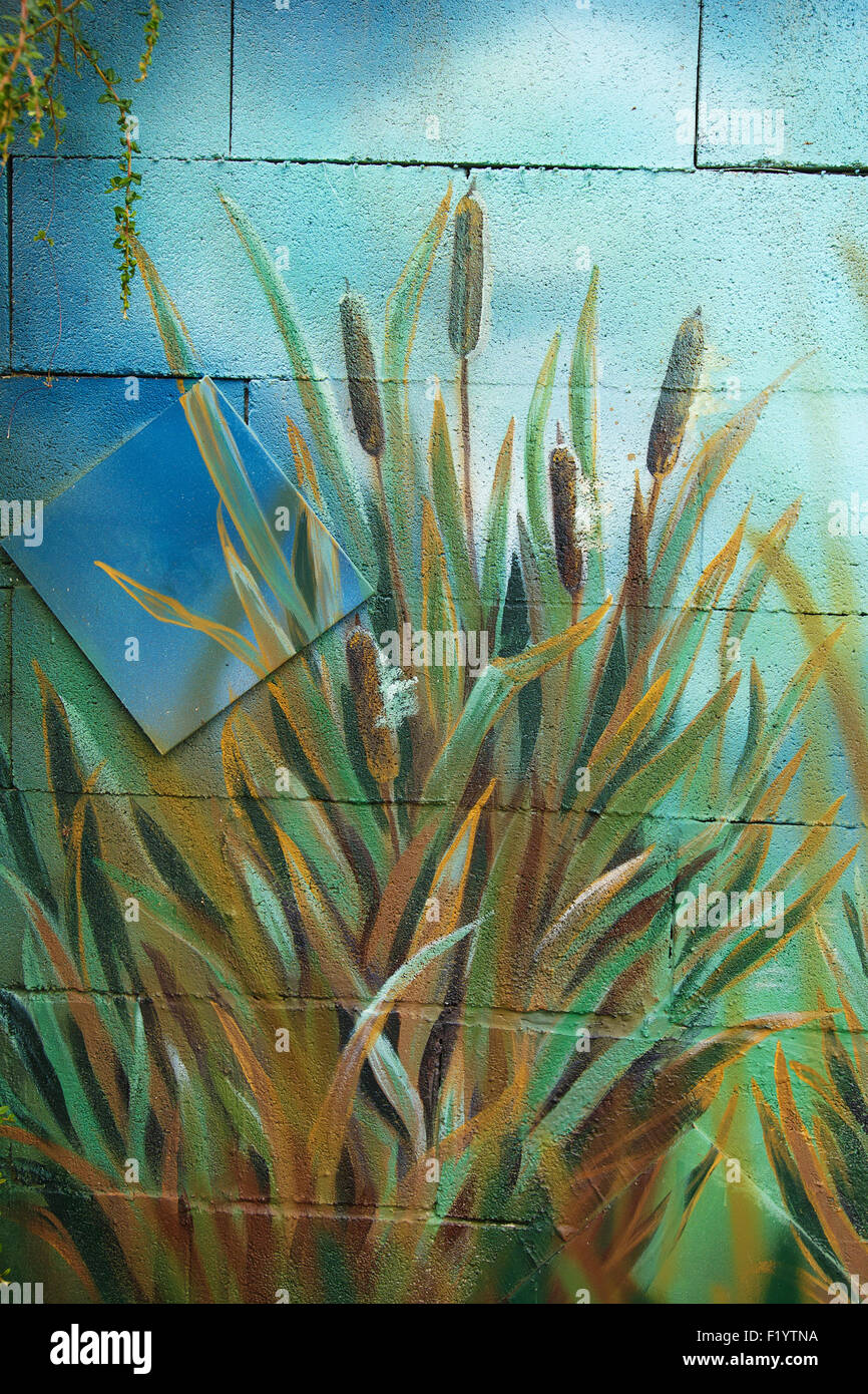 bunch of wild cane reed painted on a wall Stock Photo - Alamy