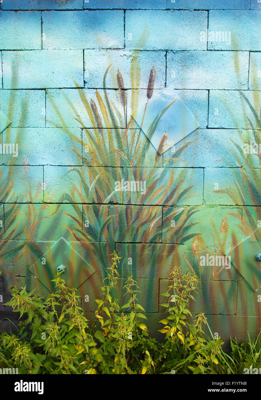 bunch of wild cane reed painted on a wall Stock Photo - Alamy