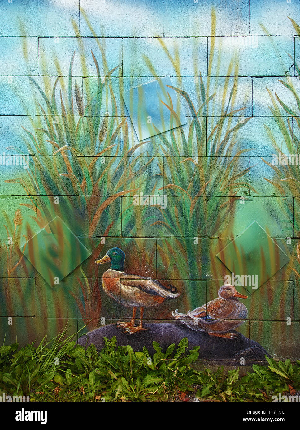 wild duck male and female sitting on a stone, acrylic painting on a ...