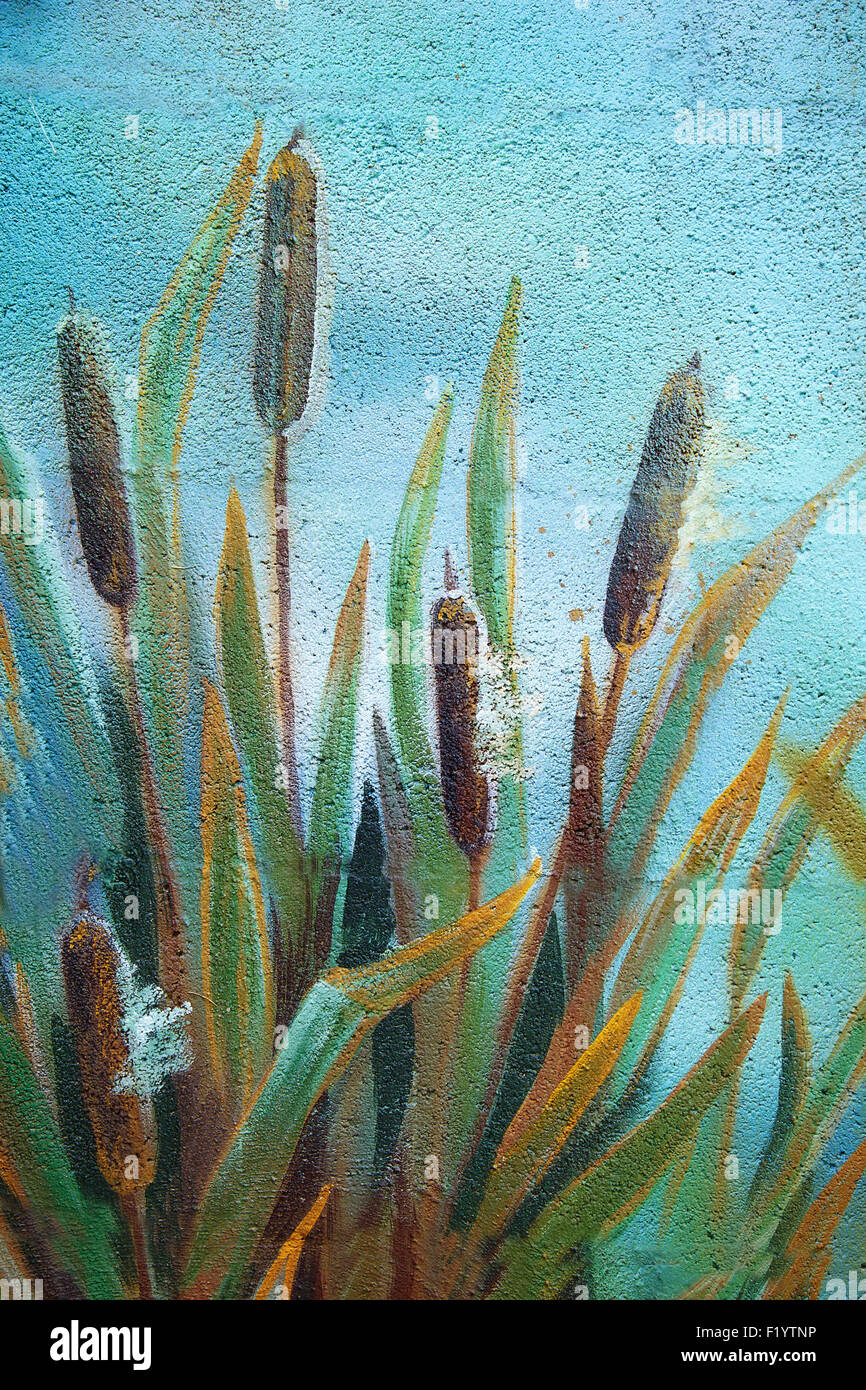 bunch of wild cane reed painted on a wall Stock Photo - Alamy