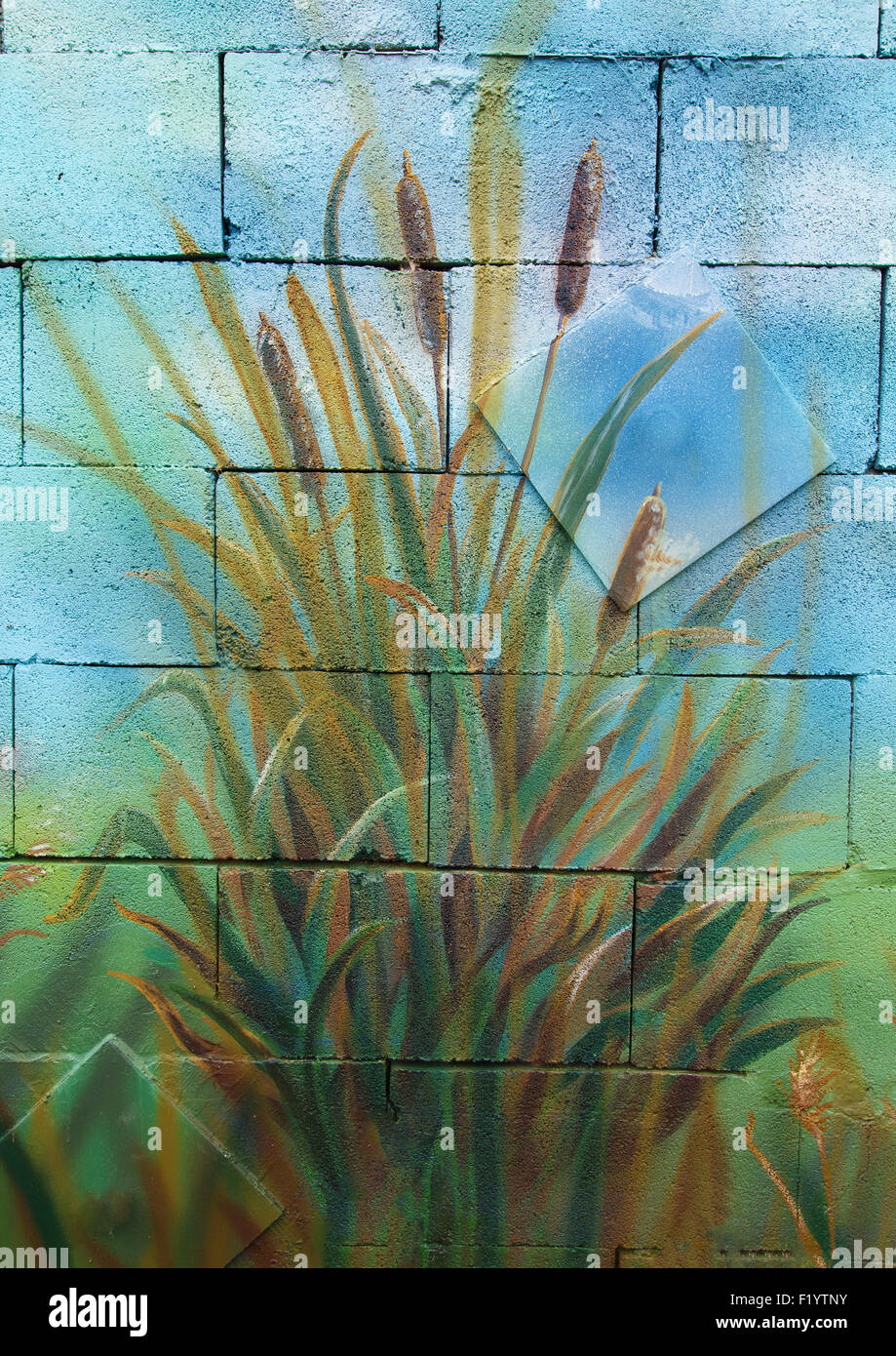 bunch of wild cane reed painted on a wall Stock Photo - Alamy