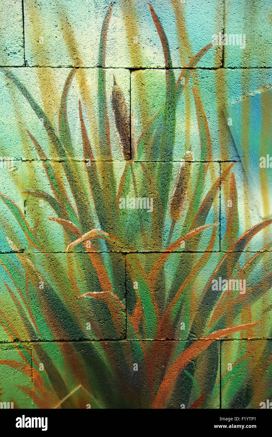 bunch of wild cane reed painted on a wall Stock Photo - Alamy