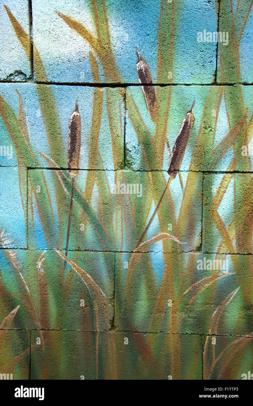 bunch of wild cane reed painted on a wall Stock Photo - Alamy