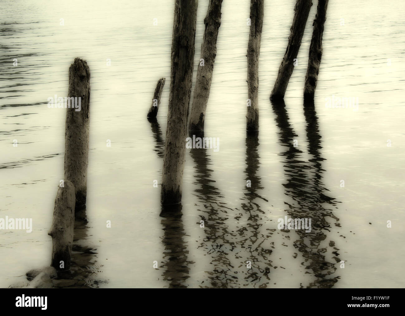 Group of pilings hi-res stock photography and images - Alamy