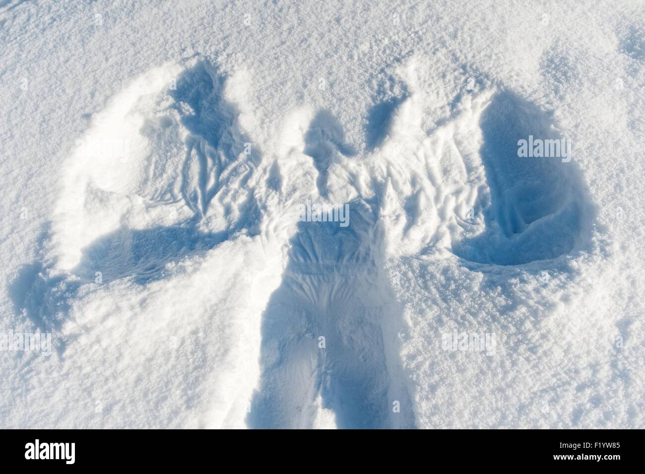 Snowy angel background Stock Photo - Alamy