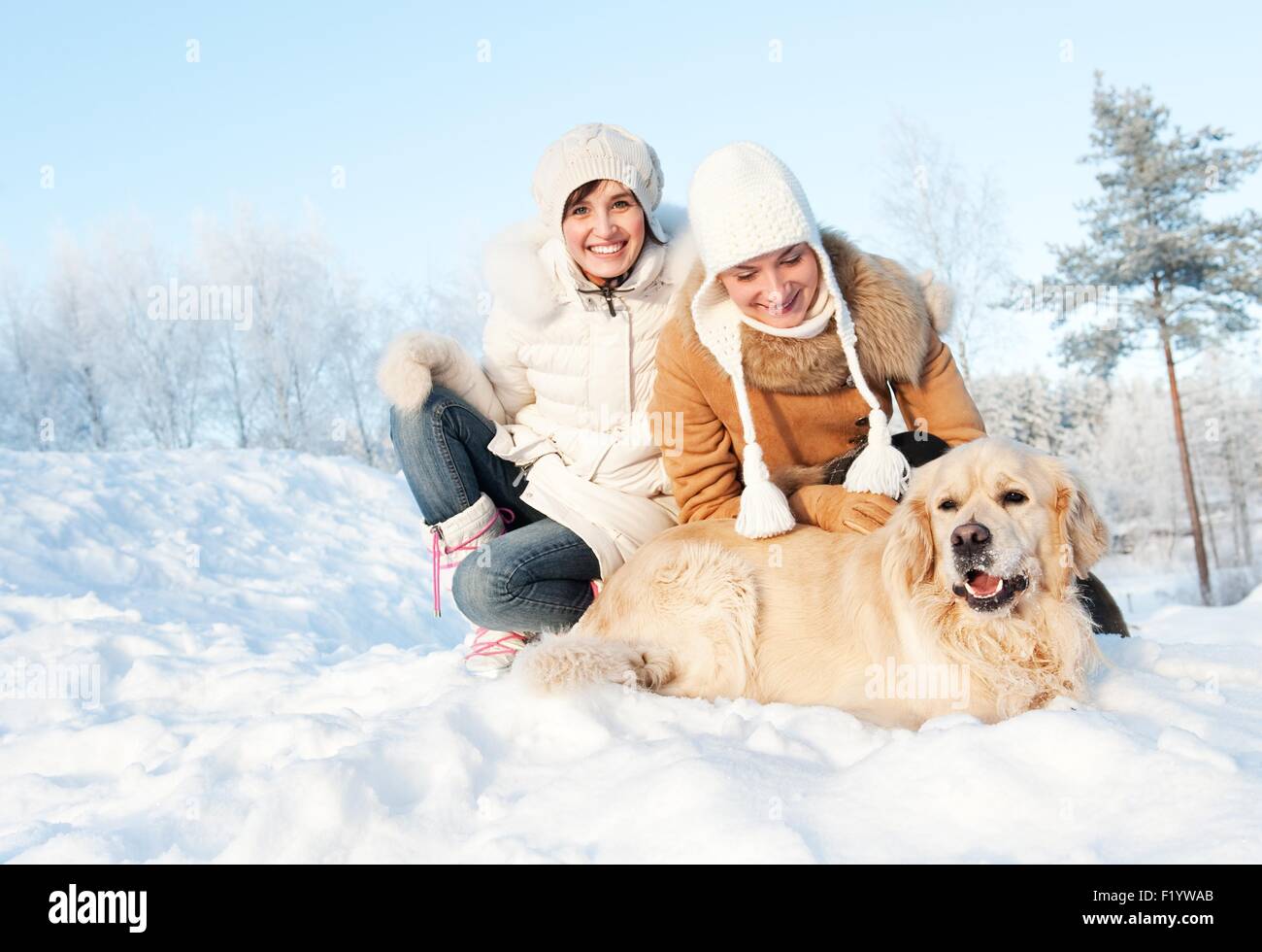 Friends playing with golden retriever outdoors Stock Photo - Alamy