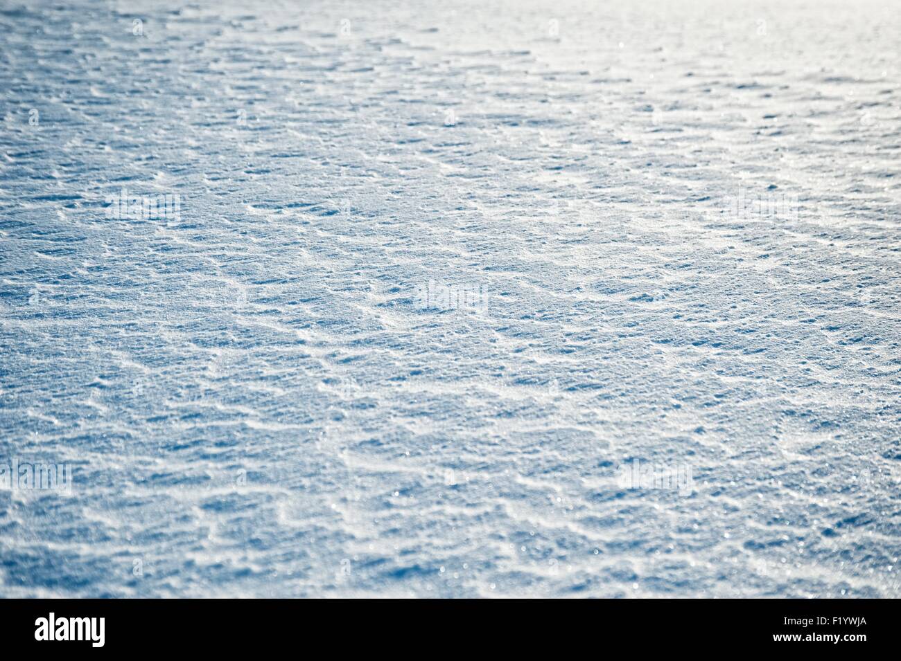 Fresh snow background Stock Photo - Alamy