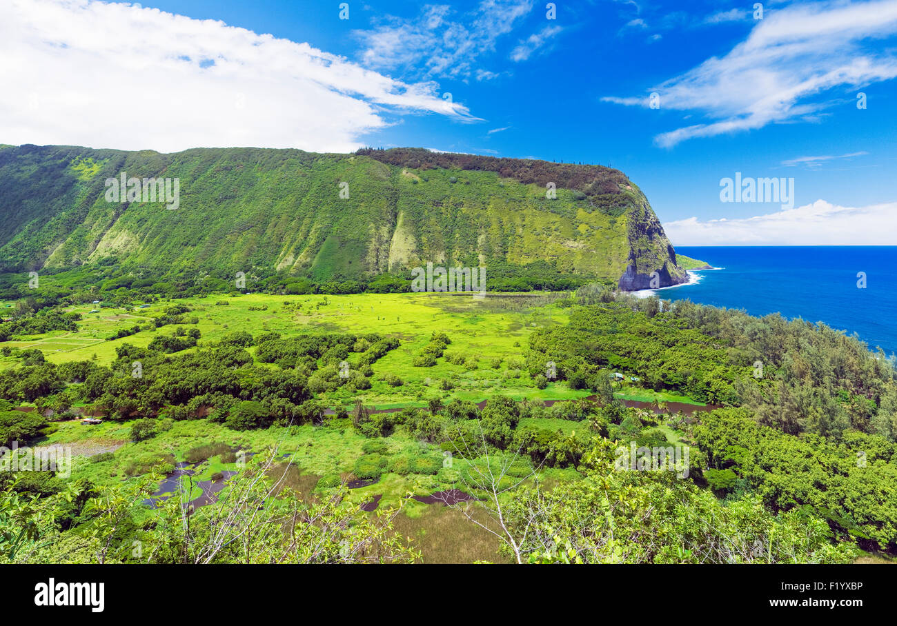 Waipiʻo Valley in the Hamakua District, Big Island, Hawaii Stock Photo ...