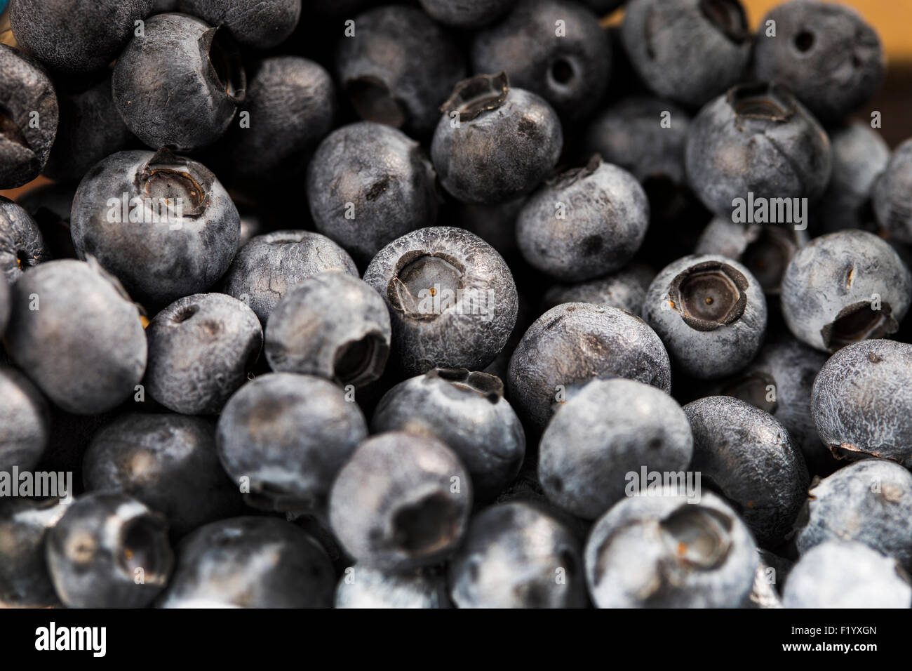 Bluebarries hi-res stock photography and images - Alamy