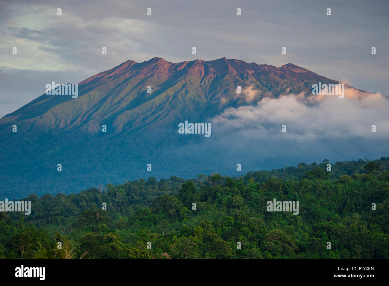 Jungle volcano hi-res stock photography and images - Alamy