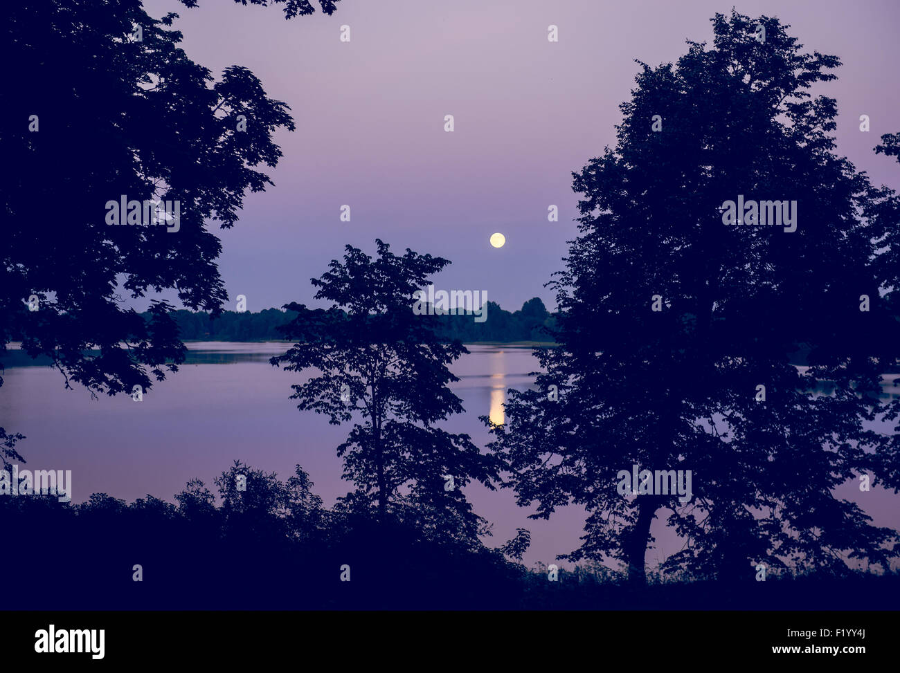Moonlight lake shore night hi-res stock photography and images - Alamy