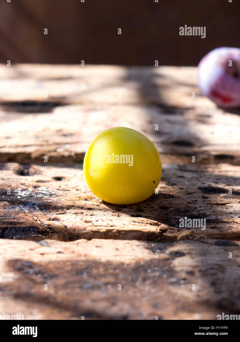 The nature object Plum fruits Stock Photo - Alamy