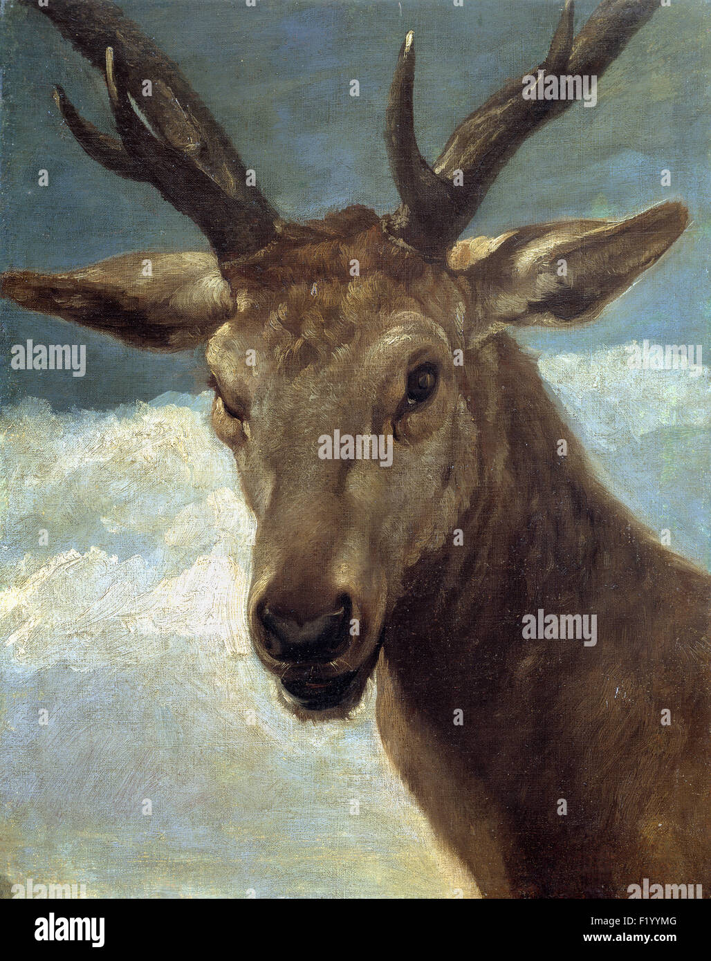 Diego Velázquez - Head of a Buck Stock Photo - Alamy