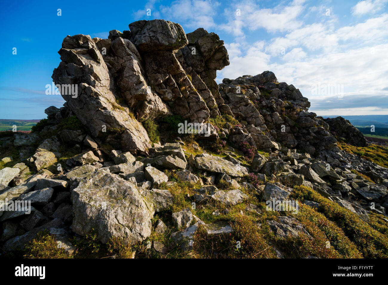 An outcrop of quartzite rock on the Stiperstones, Shropshire Hills ...