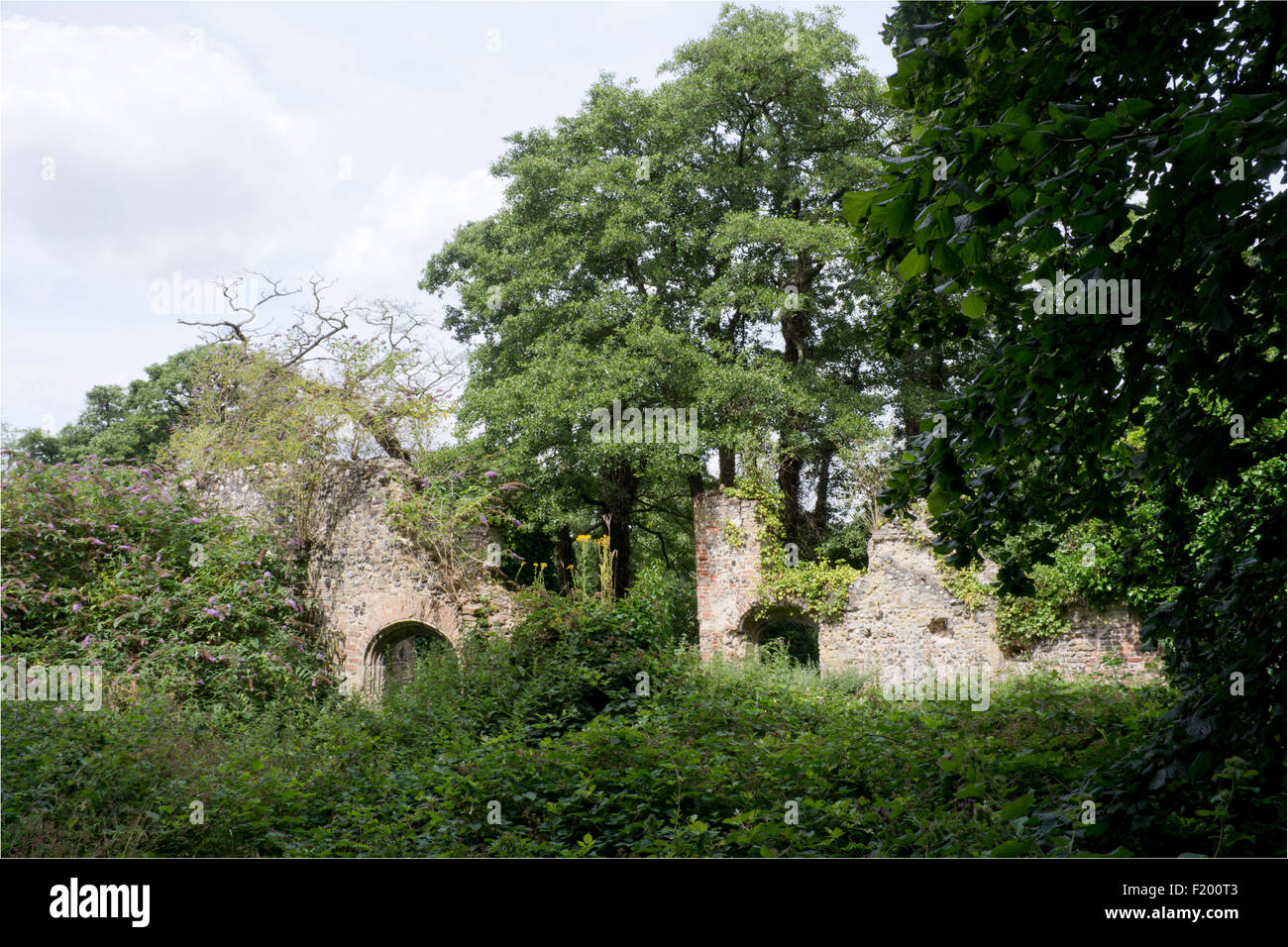 Trowse newton hall hi-res stock photography and images - Alamy