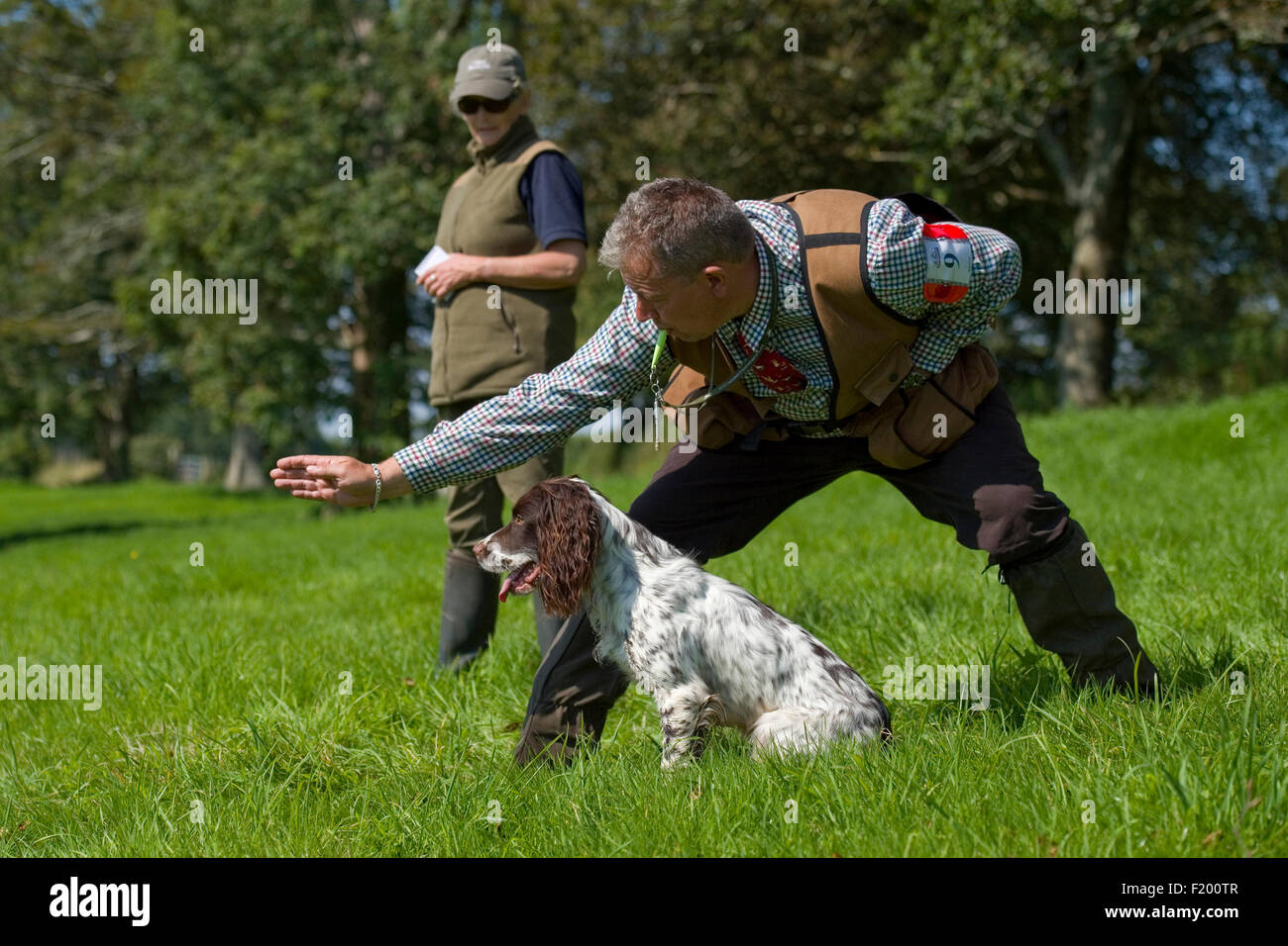 sending a dog to retrieve a dummy Stock Photo - Alamy