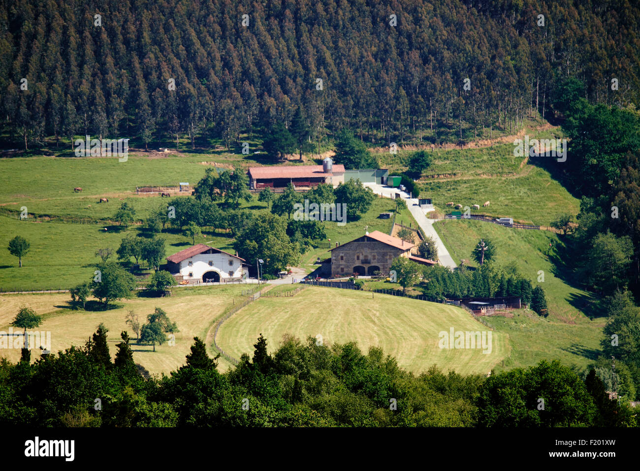 Country farmhouse country farmhouse hi-res stock photography and images ...