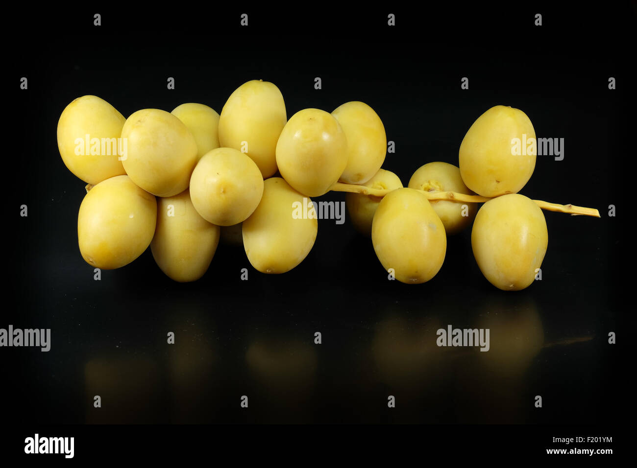 Very fresh organic dates from Israel, fresly picked, grown on farm ...