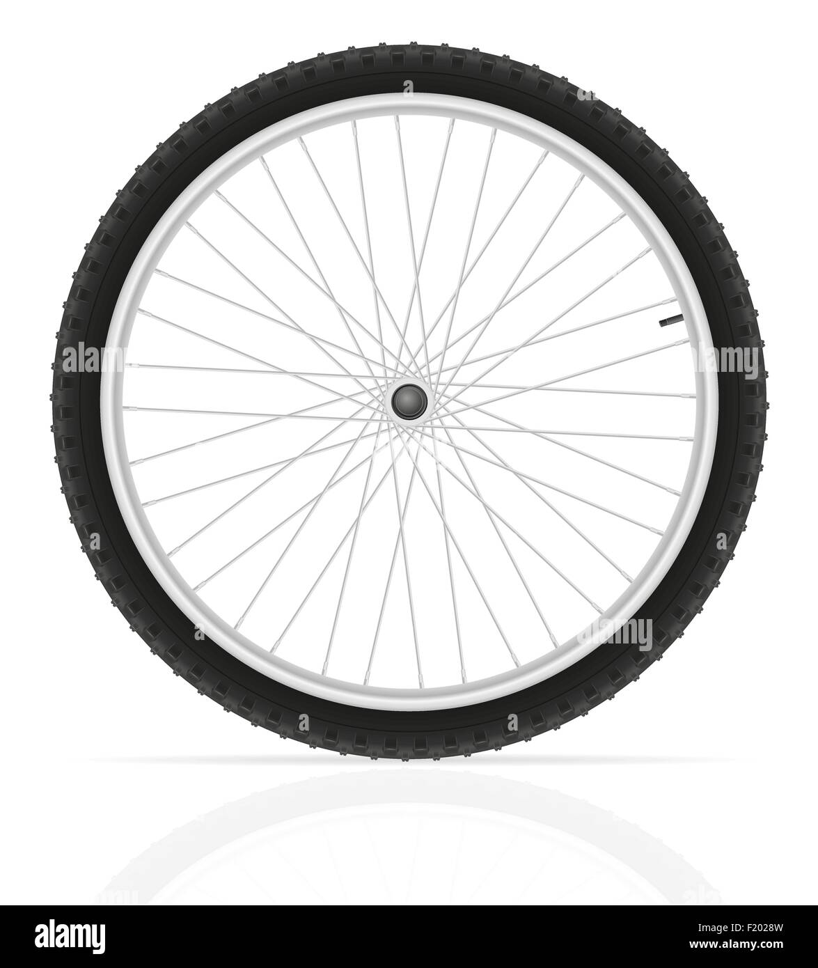 bicycle wheel vector illustration isolated on white background Stock ...