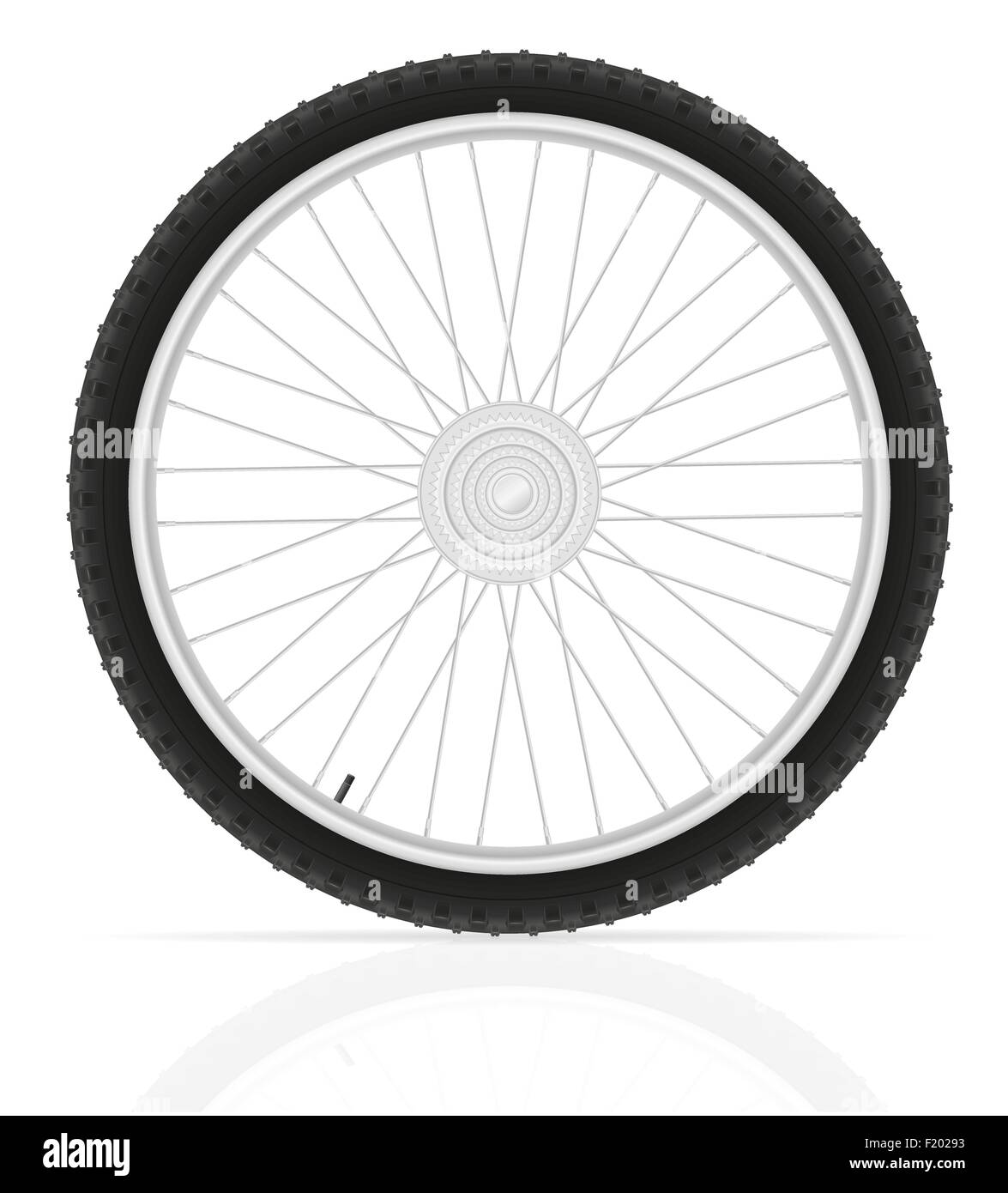 bicycle wheel vector illustration isolated on white background Stock ...