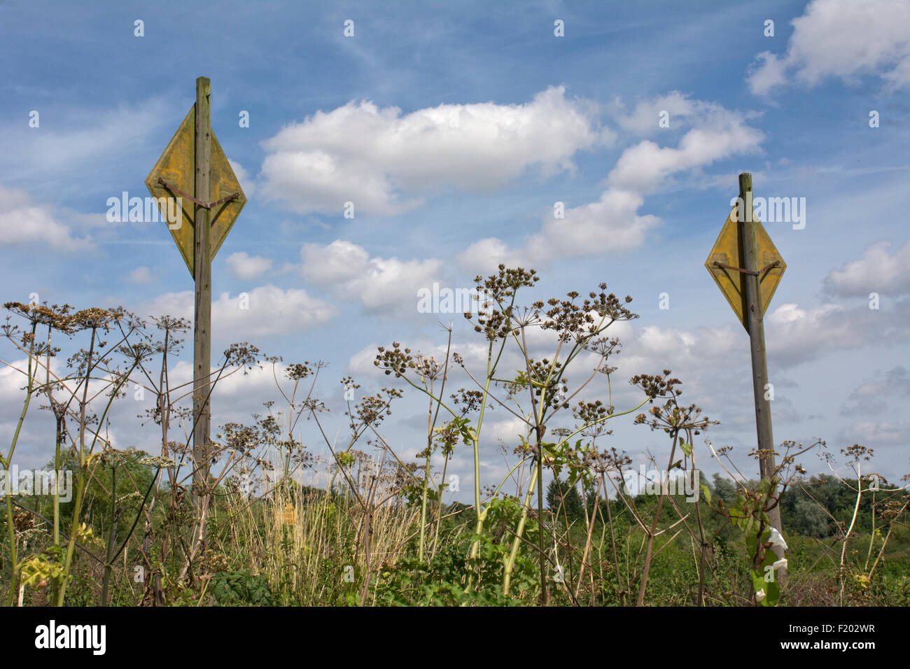 Two yellow signs hi-res stock photography and images - Alamy