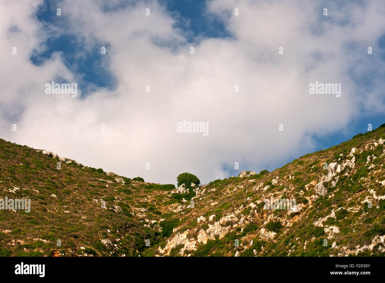 Vegetation on a Greek hill, kefalonia Stock Photo - Alamy