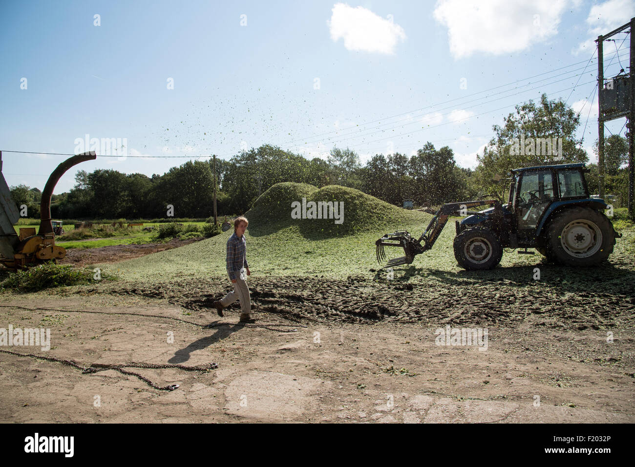 Sandhurst, Kent, UK. 8th September, 2015. Chaff from the hops is blown ...