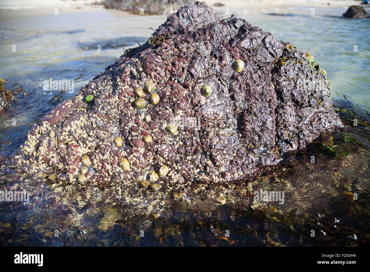 Close up of rocks in the sea at Porth Oer / Whistling Sands with ...