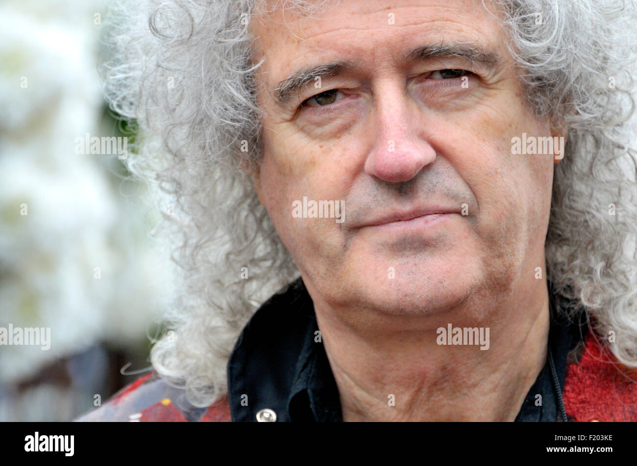 Brian May, former Queen guitarist, campaigning at the Protest Against ...