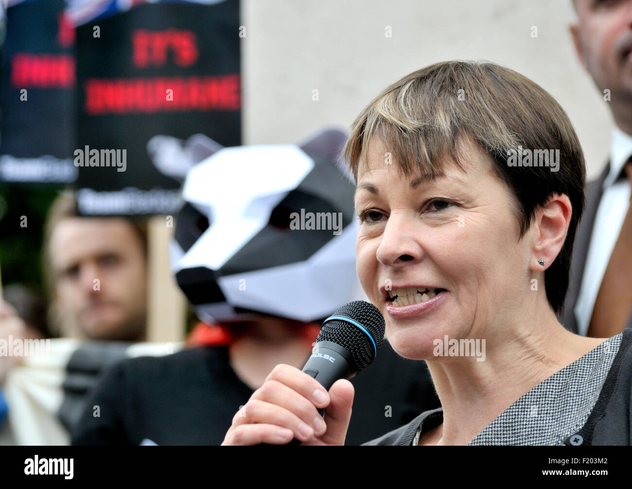 Leader of the green party green mp for brighton pavilion hi-res stock ...