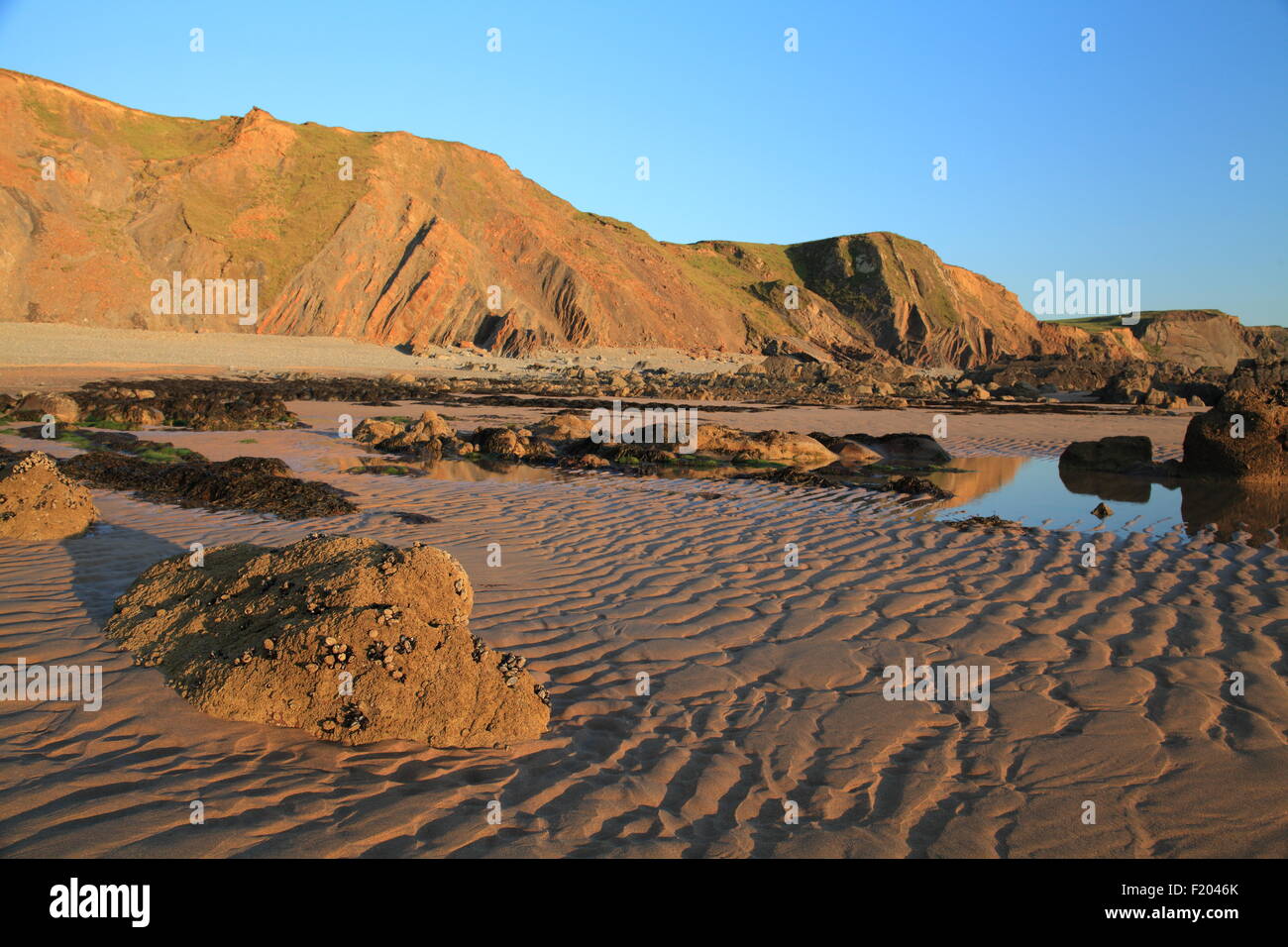 Sandymouth bay, North Cornwall, England, UK Stock Photo - Alamy