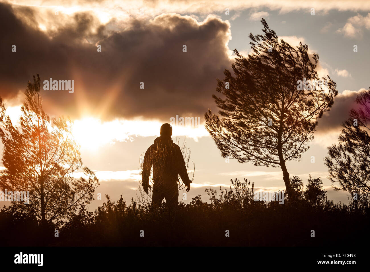 Adventurous man observing a lovely sunset in nature, alone, standing ...