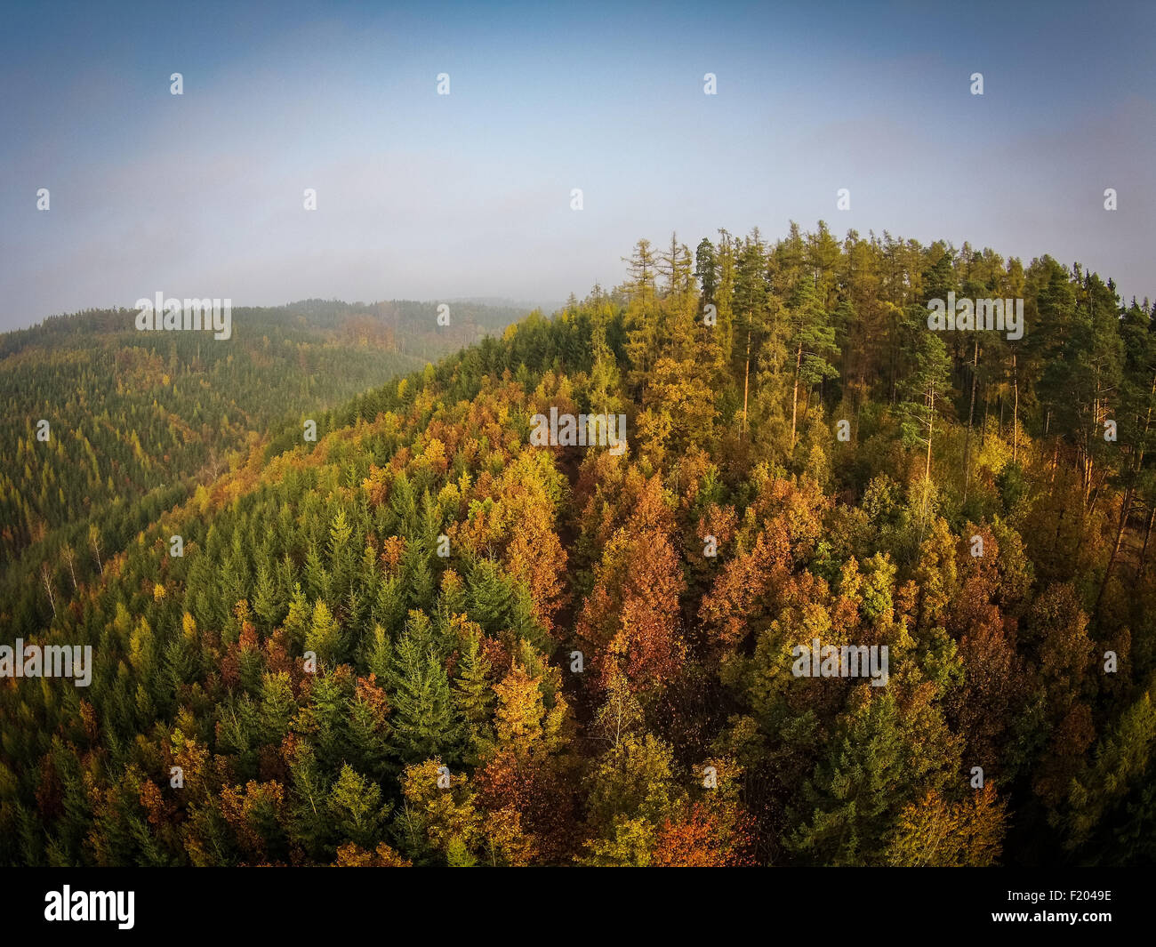 Autumn forest aerial view Stock Photo - Alamy